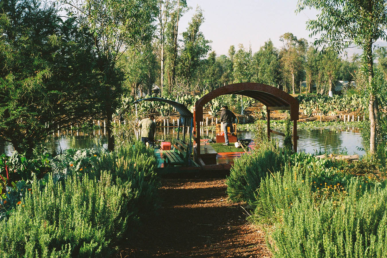 Experiencia sobre la milpa en las chinampas de Xochimilco
