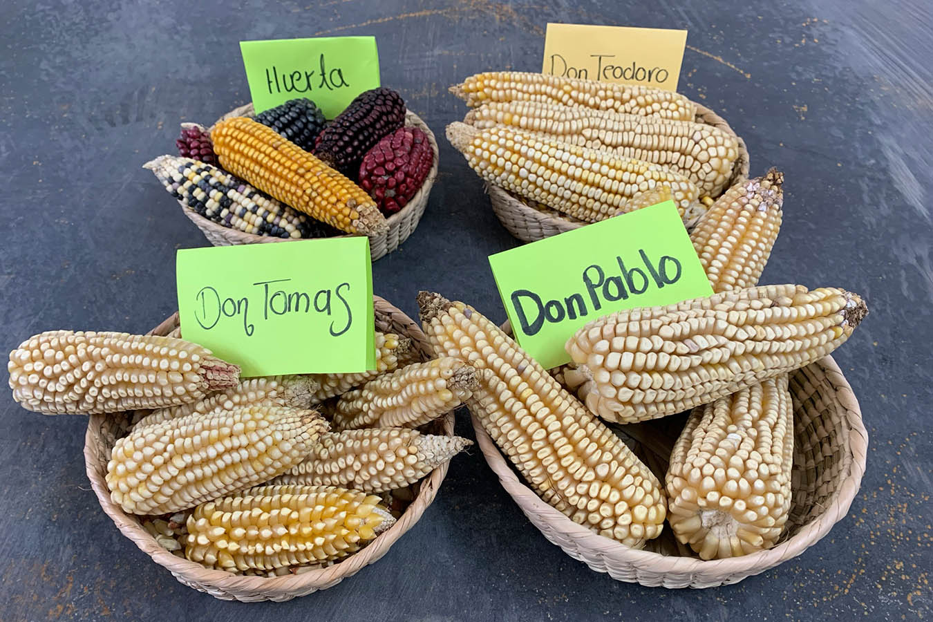 Proyecto Teot: ejemplo de producción justa de maíces nativos